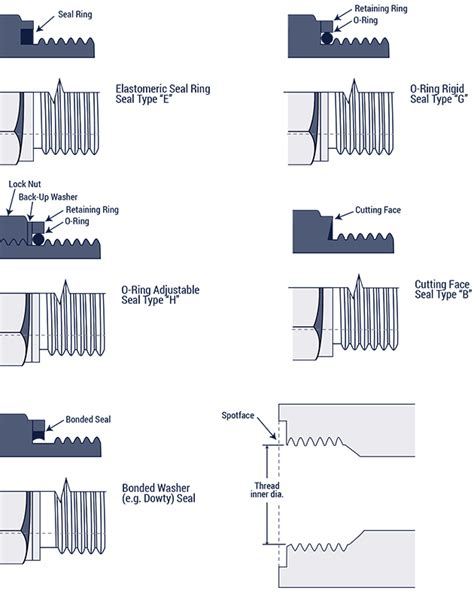 Titan Fittings Stainless Steel Fittings Stainless Hose Fittings Stainless Adapters