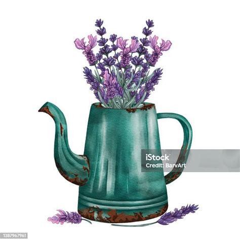 흰색으로 분리 된 금속 소박한 냄비에 수채화 라벤더 프로방스 농가 0명에 대한 스톡 벡터 아트 및 기타 이미지 0명 건강관리와 의술 금속 Istock