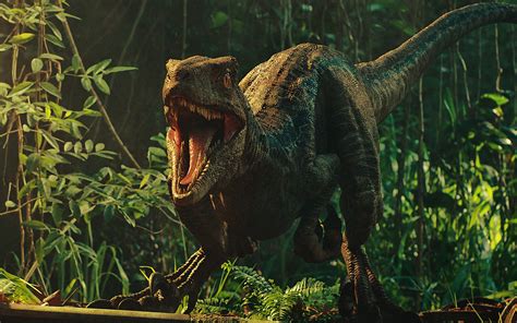 Jurassic World Fallen Kingdom Movie Review Attraction Insight
