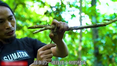 第53集 独居热带雨林720天 荒野求生 野外生活 Youtube
