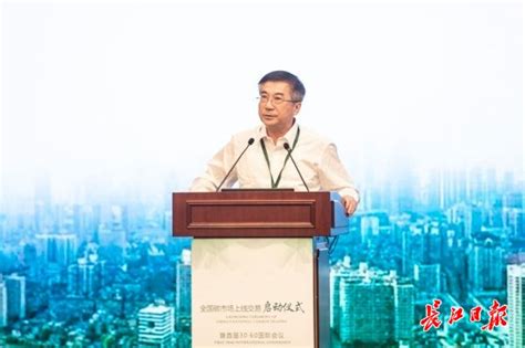 中国科学院院士、中国地质大学（武汉）校长王焰新：建议打造“武汉国际碳中和示范区”武汉新闻中心长江网cjncn