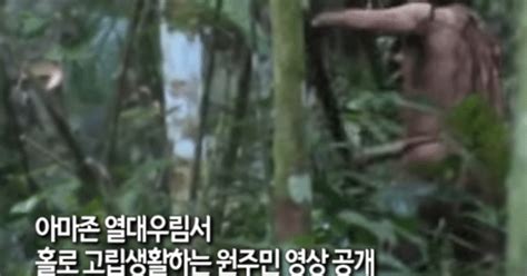 26년간 홀로 지내던 아마존 최후의 원주민 오두막에서 숨져 영상