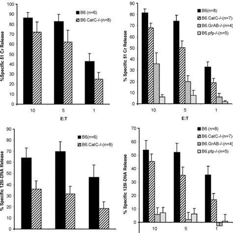 Catc−− Cd8⁺ Ctls Induce Apoptosis In Target Cells A Kinetics Of