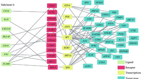Multilayer Intercellular And Intracellular Signal Networks Among Download Scientific Diagram