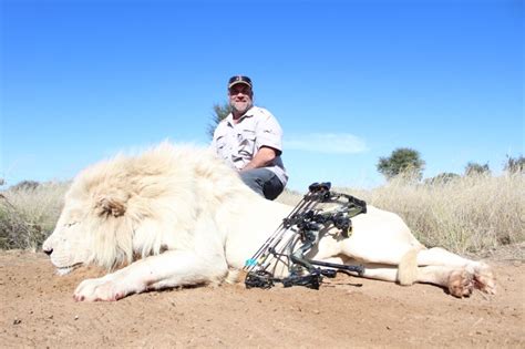 Hunting Lion In South Africa Somerby Safaris