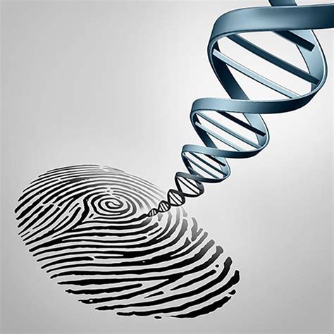 我国科学家发现指纹与基因相关联 知乎