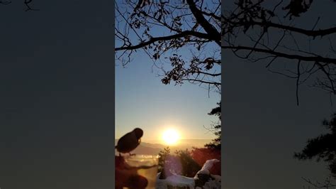 년 월 일 시 분 산정상 산새 일출 영상 자연은 현장음 그대로 그 사실 그대로 YouTube