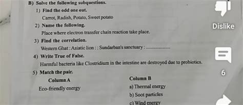 B Solve The Following Subquestions 1 Find The Odd One Out Carrot Ra