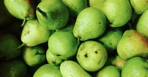 Building A Github Repo Template Part 7 Next Js Pwa Support R Javascript