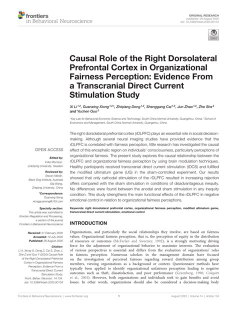 Pdf Causal Role Of The Right Dorsolateral Prefrontal Cortex In Organizational Fairness