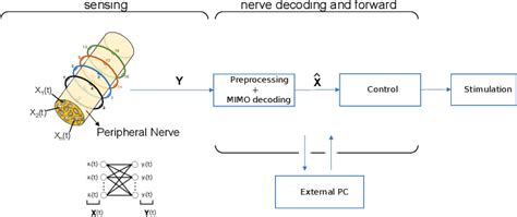 figure 5 from neural network based classification of eng recordings in