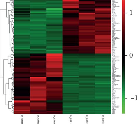 Distinct Transcriptional Signature Between Wt And Lbp Deficient Rats