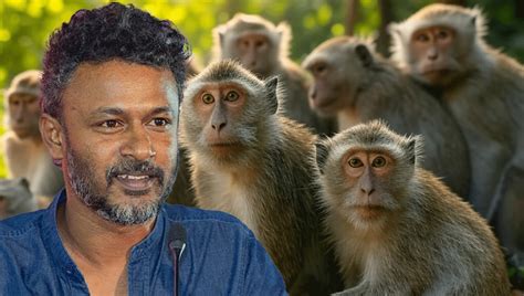 Lanka C News රිලවුන්ට දූපත් විසඳුම ලෝකෙට හඳුන්වා දෙන්නේ අපි…