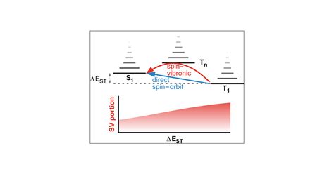 Spinvibronic Model For Quantitative Prediction Of Reverse Intersystem Crossing Rate In