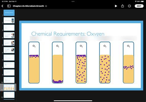 Specific Oxygen Requirement Diagram Quizlet