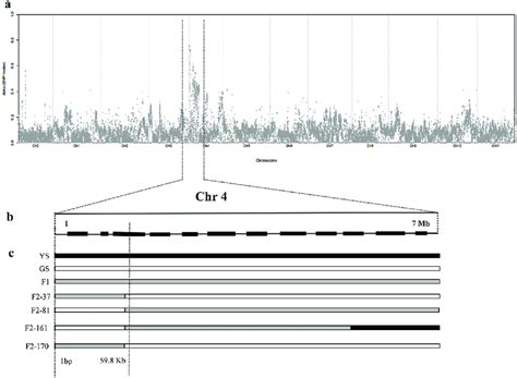 fine mapping of the watermelon yellow skin trait a Δ snp index