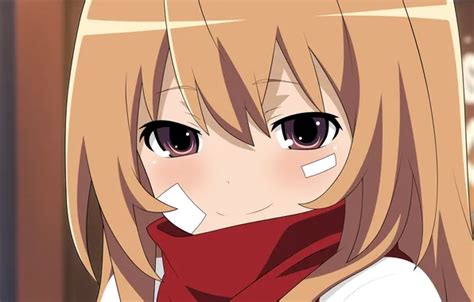 Wallpaper Female Aisaka Taiga Toradora Cutenotpedo Artist For
