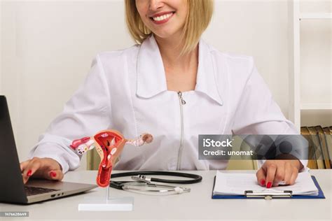 친절한 여성 의사 산부인과 의사가 사무실에서 일합니다 작업 책상에 여성 생식 기관의 모델 25 29세에 대한 스톡 사진 및 기타 이미지 25 29세 건강관리와 의술