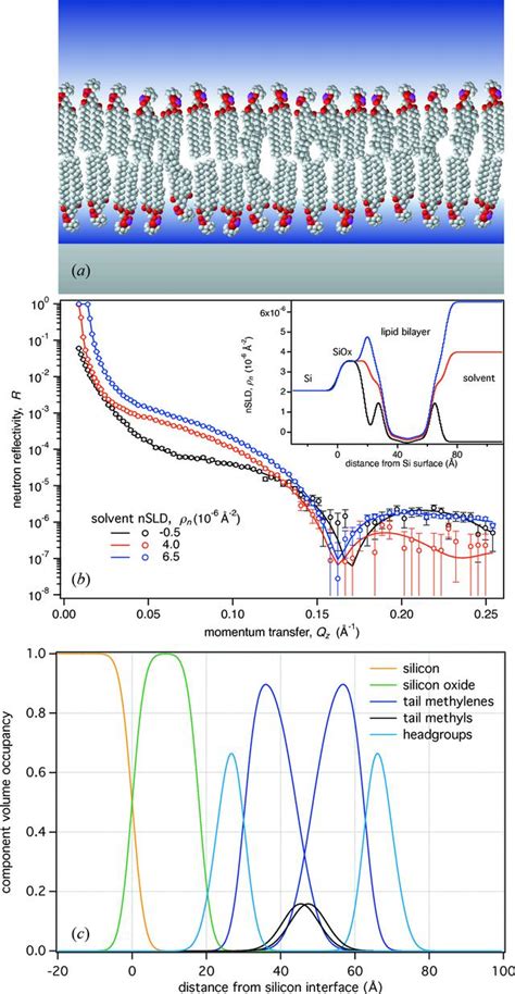 Iucr Information Gain From Isotopic Contrast Variation In Neutron Reflectometry On Protein