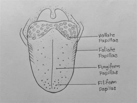 Pin On Nursing Stuff
