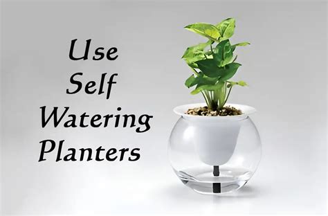 How Do Self Watering Planters Work 8 Quick Facts 2024