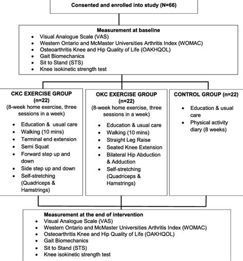 Participant Flow Through The Randomized Controlled Trial Download Scientific Diagram
