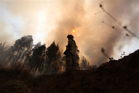 Decretan Alerta Roja En Penco Por Incendio Forestal Hay Amenaza De