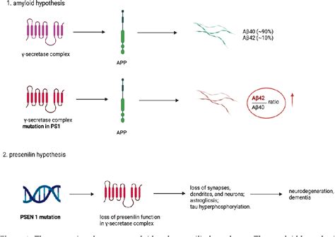 Pdf The Amyloid Cascade Hypothesis In Alzheimers Disease Should We