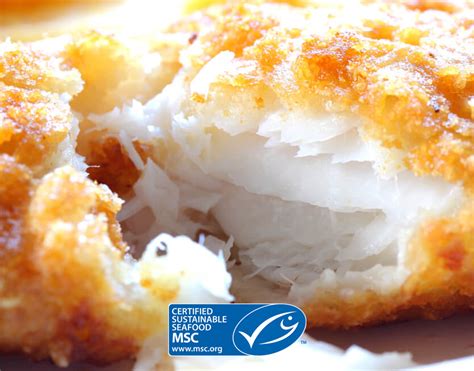 Crispy Battered Haddock Msc Pacific West