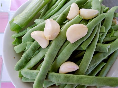 清炒蒜蓉四季豆 橄榄菜炒四季豆 素炒四季豆 大山谷图库