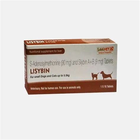 Lisybin S Adenosyl Methionine Tablet At ₹ 270stripe Jaripatka