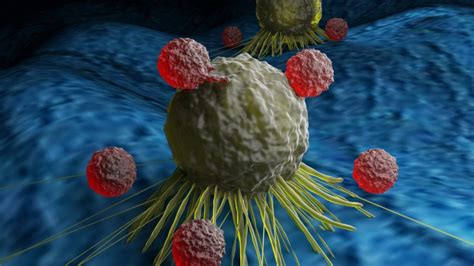 Novel T Cell Receptor Therapy Shows Early Anti Tumor Activity Mirage News
