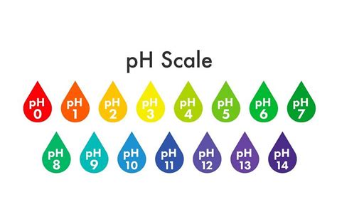 Ph Scale Explained