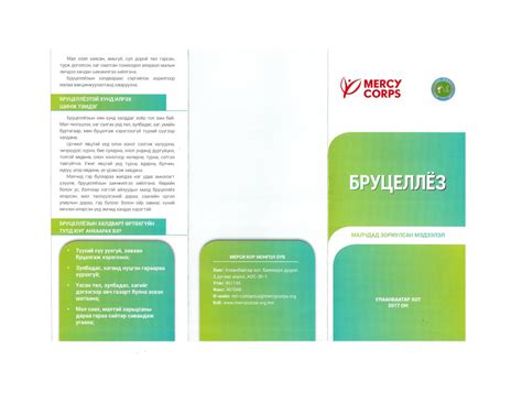 Gomboo БРУЦЕЛЛЁЗ Page 1 Created With