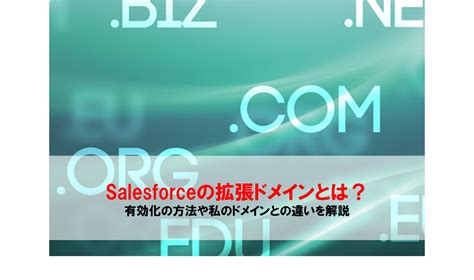 Salesforceの拡張ドメインとは？有効化の方法や私のドメインとの違いを解説 フロッグウェル株式会社