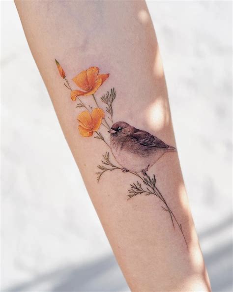 A Puffy Female Dark Eyed Junco Bird On A California Poppy🧡 Bird On