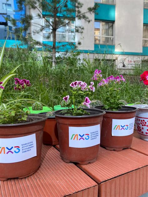 Баянзүрх дүүргийн Баянзүрх дүүргийн Хүүхдийн Зөвлөл