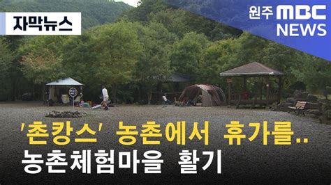 자막뉴스 촌캉스 농촌에서 휴가를 농촌체험마을 활기 2022 09 12원주mbc Youtube
