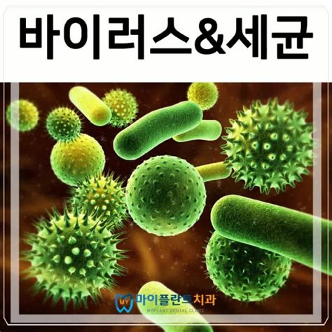 바이러스 세균 차이 정확히 알아보자 네이버 블로그