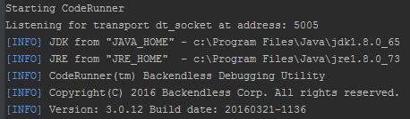 Cannot Connect To CodeRunner Server Code Backendless Support