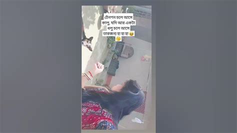 দেখো কি ভাবে কালু আমার কথা শুনছে 💝🥰ওকেও ভিডিও বানাতে ইচ্ছা করছে 😁kalu