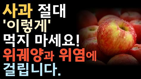 아침에 먹으면 금보다 값진 사과지만 이렇게 먹으면 독이 됩니다 건강을 망치는 사과 먹는 방법아닌 사과 제대로 알고 건강하게 먹는 방법 총정리 Youtube