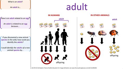 Science Visuals The Visual Non Glossary