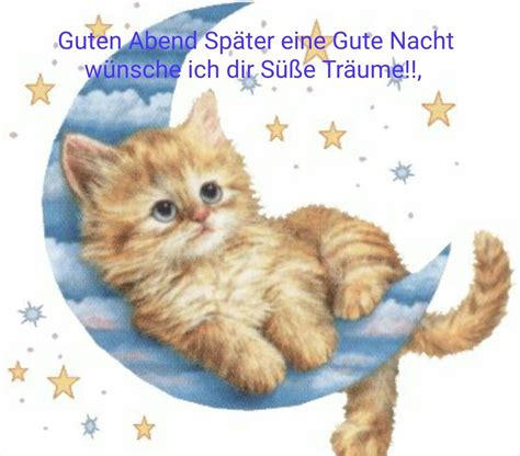 Liebessprüche Gute Nacht Bilder Und Sprüche Für Whatsapp Und Facebook