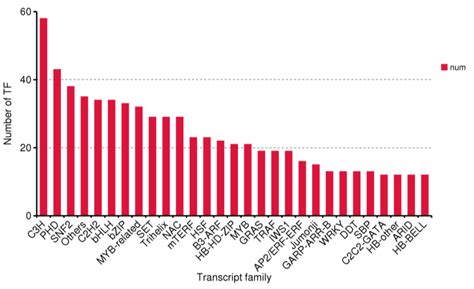 Cds Length Distribution Cds Length Distribution Download Scientific