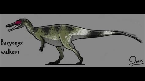 Debunking Creationism Meme Youtube