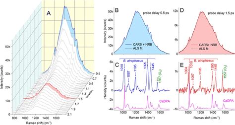 A Standoff Cars Spectrogram Of B Atrophaeus Spores Pump Stokes Download Scientific