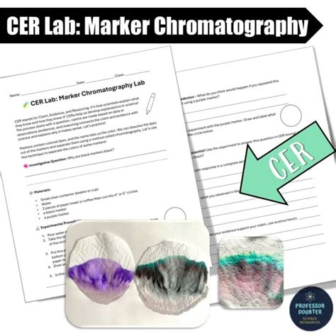 Claim Evidence And Reasoning Cer Practice Set Of 5 Lab Worksheets And Assessments