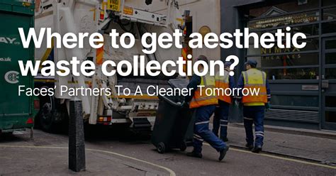 Where To Get Aesthetic Waste Collection Introducing 3 Expert Partners