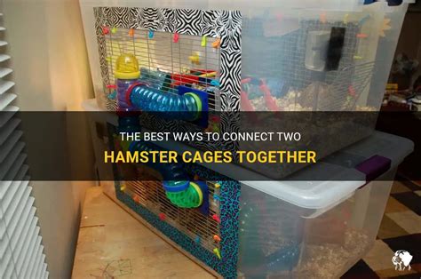 The Best Ways To Connect Two Hamster Cages Together PetShun